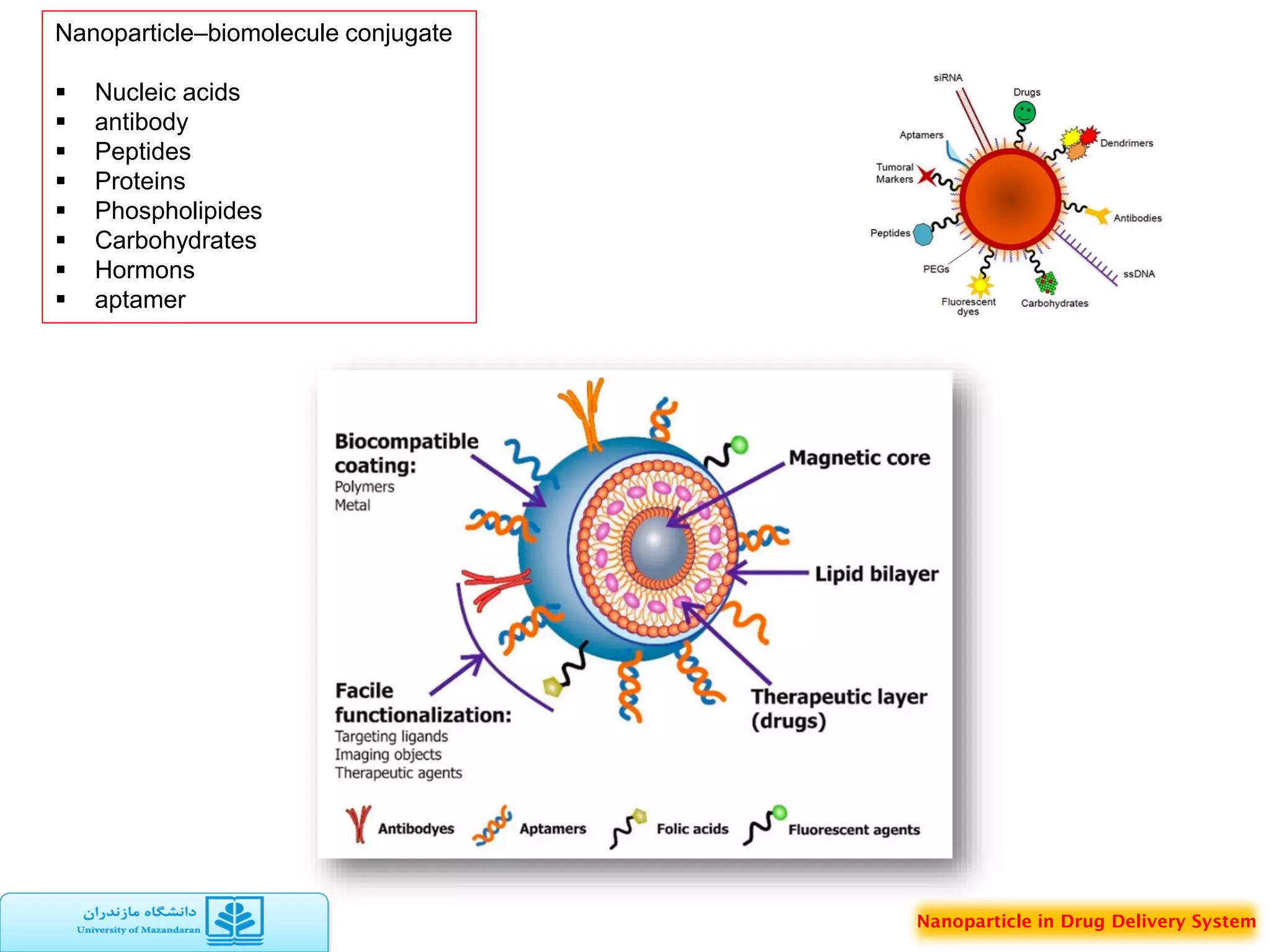 Nanoparticle in drug delivery system | PDF