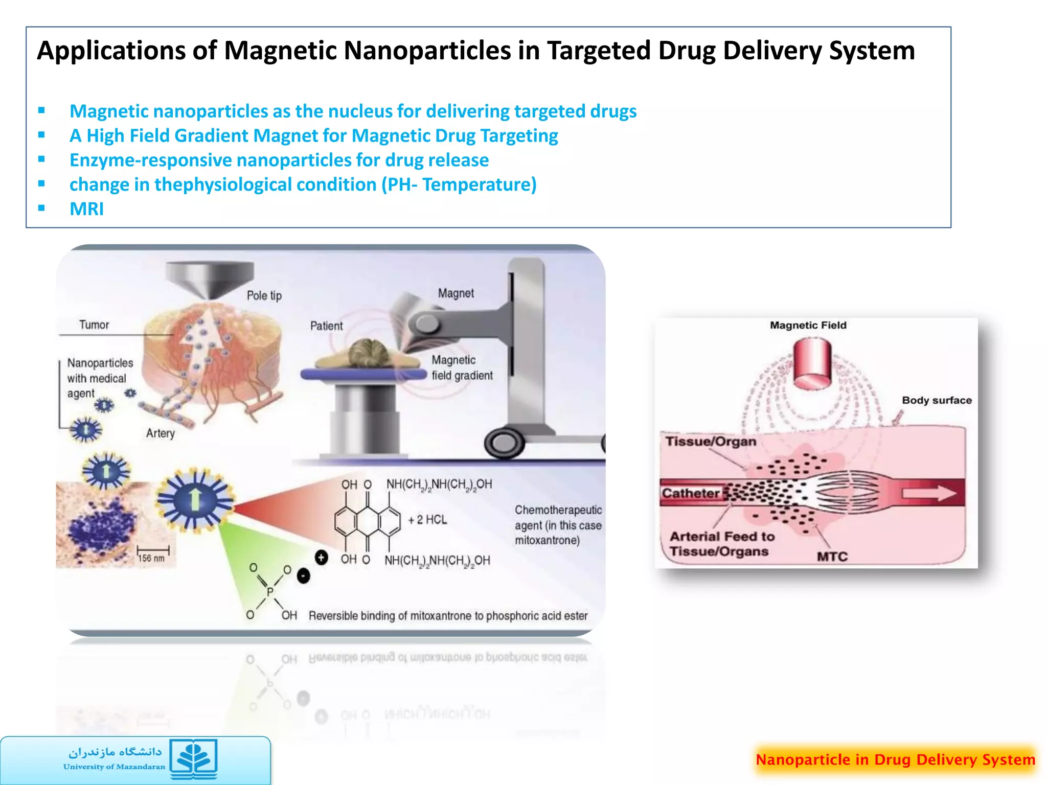 Nanoparticle in drug delivery system | PDF
