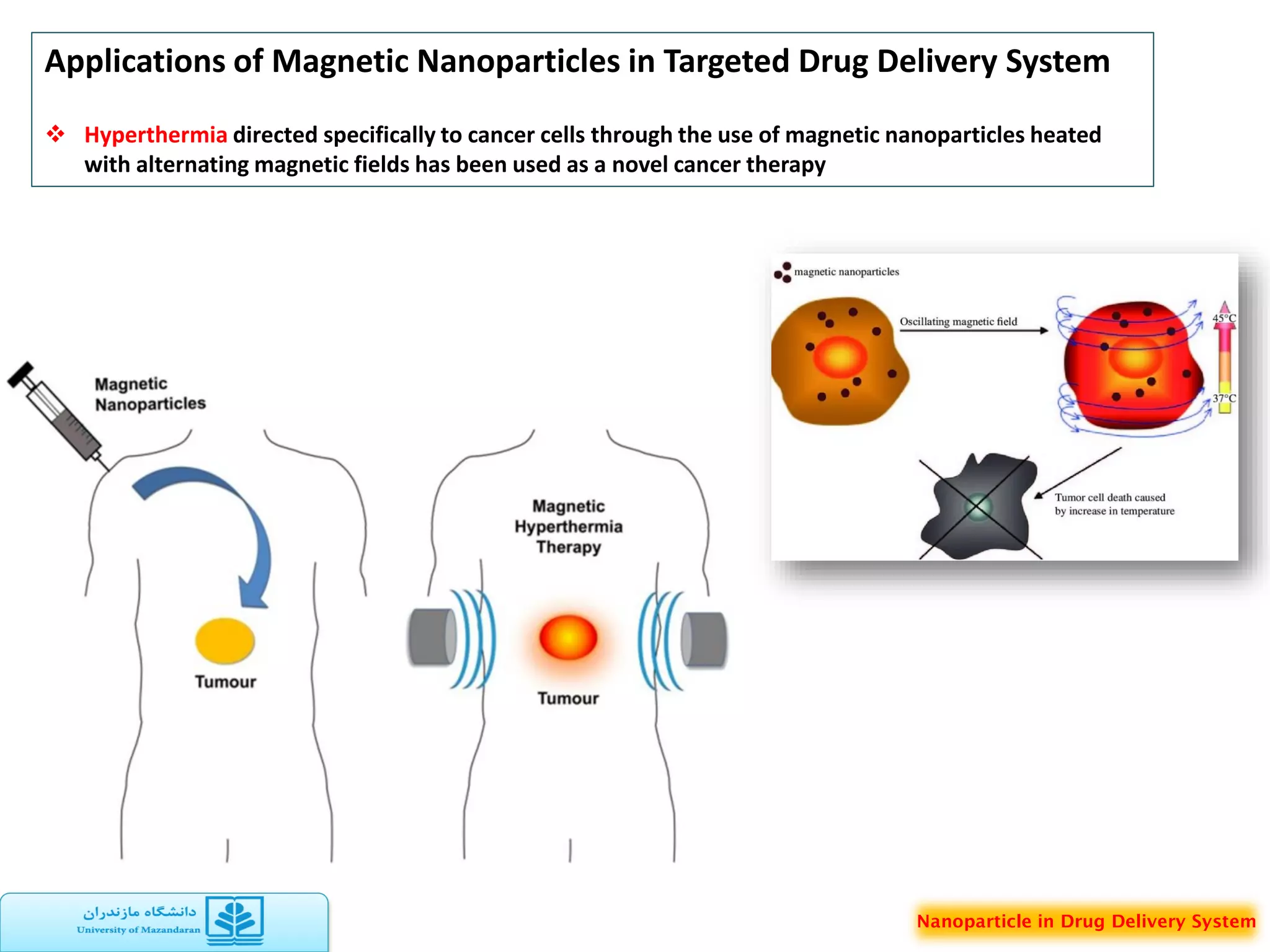 Nanoparticle in drug delivery system | PDF