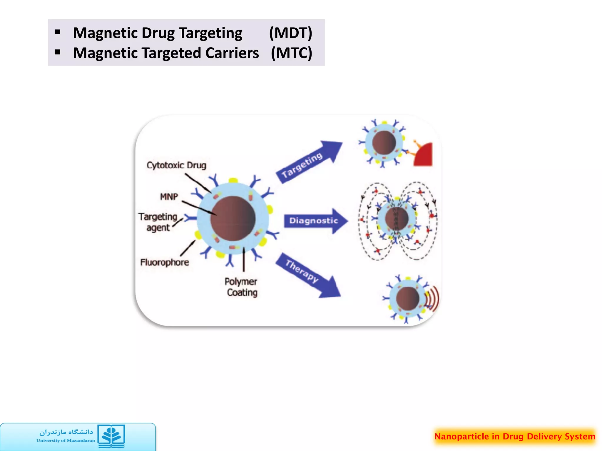 Nanoparticle in drug delivery system | PDF