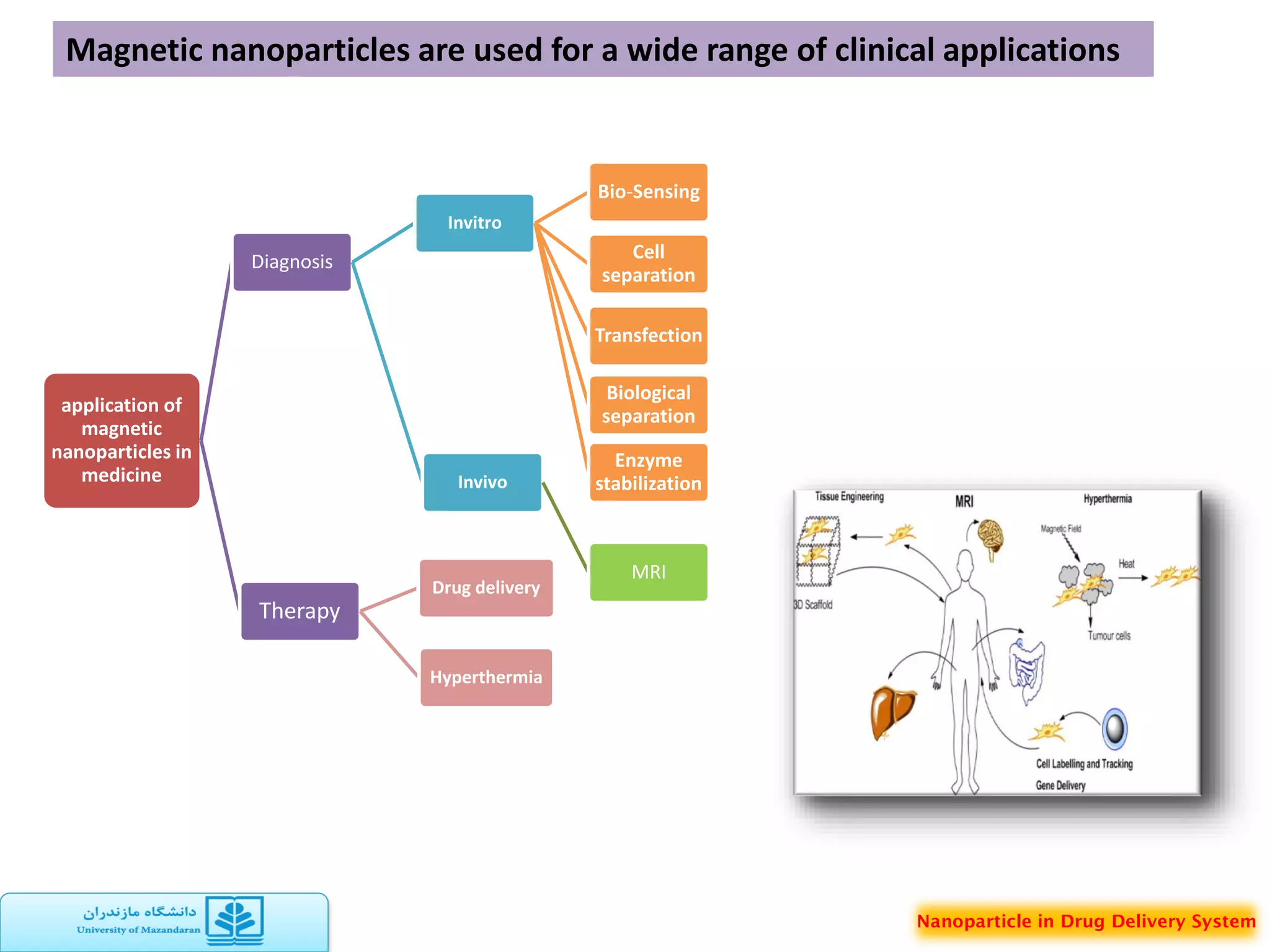 Nanoparticle in drug delivery system | PDF
