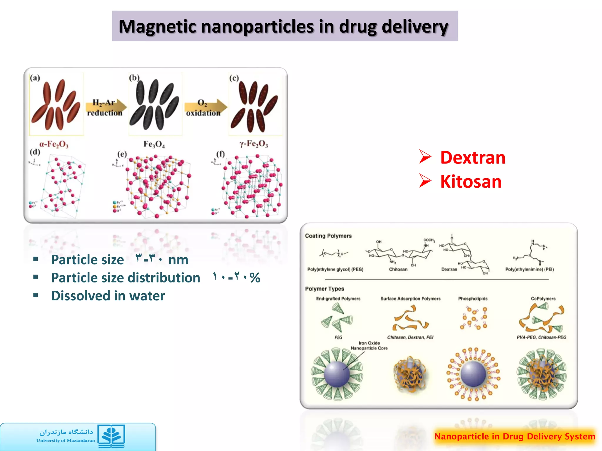 Nanoparticle in drug delivery system | PDF