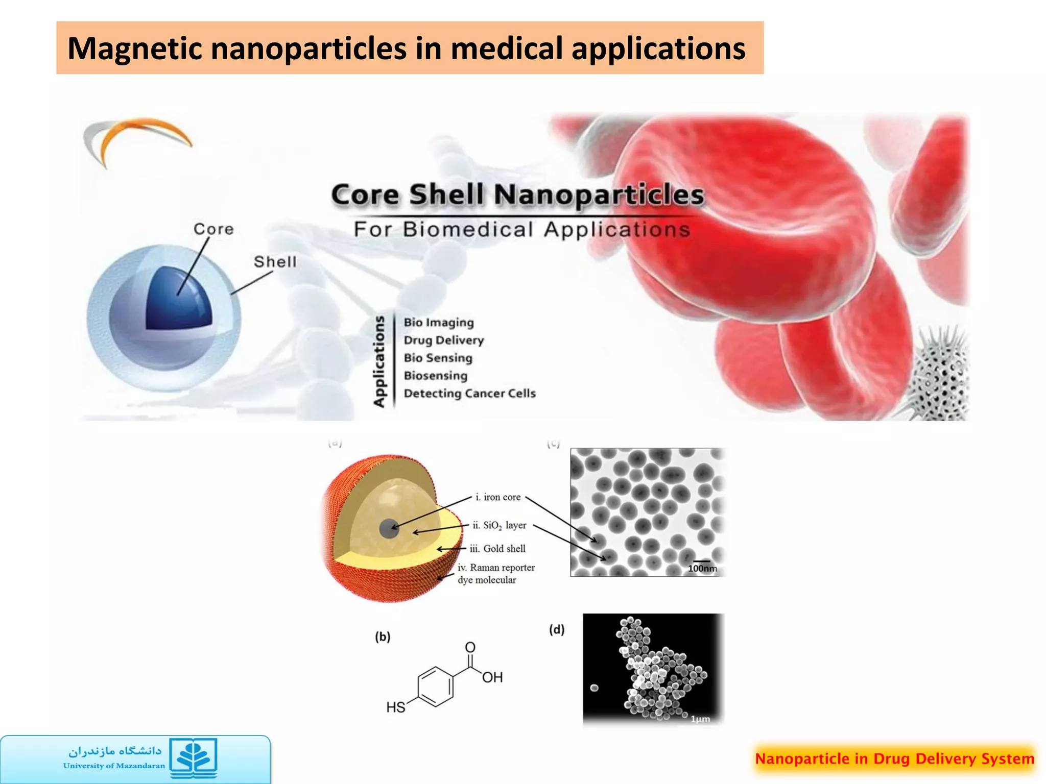 Nanoparticle in drug delivery system | PDF