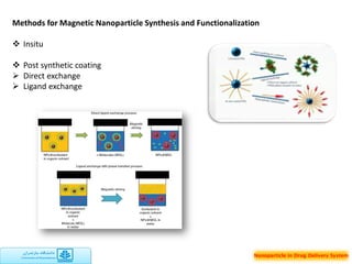 Nanoparticle in drug delivery system | PDF | Chemistry | Science