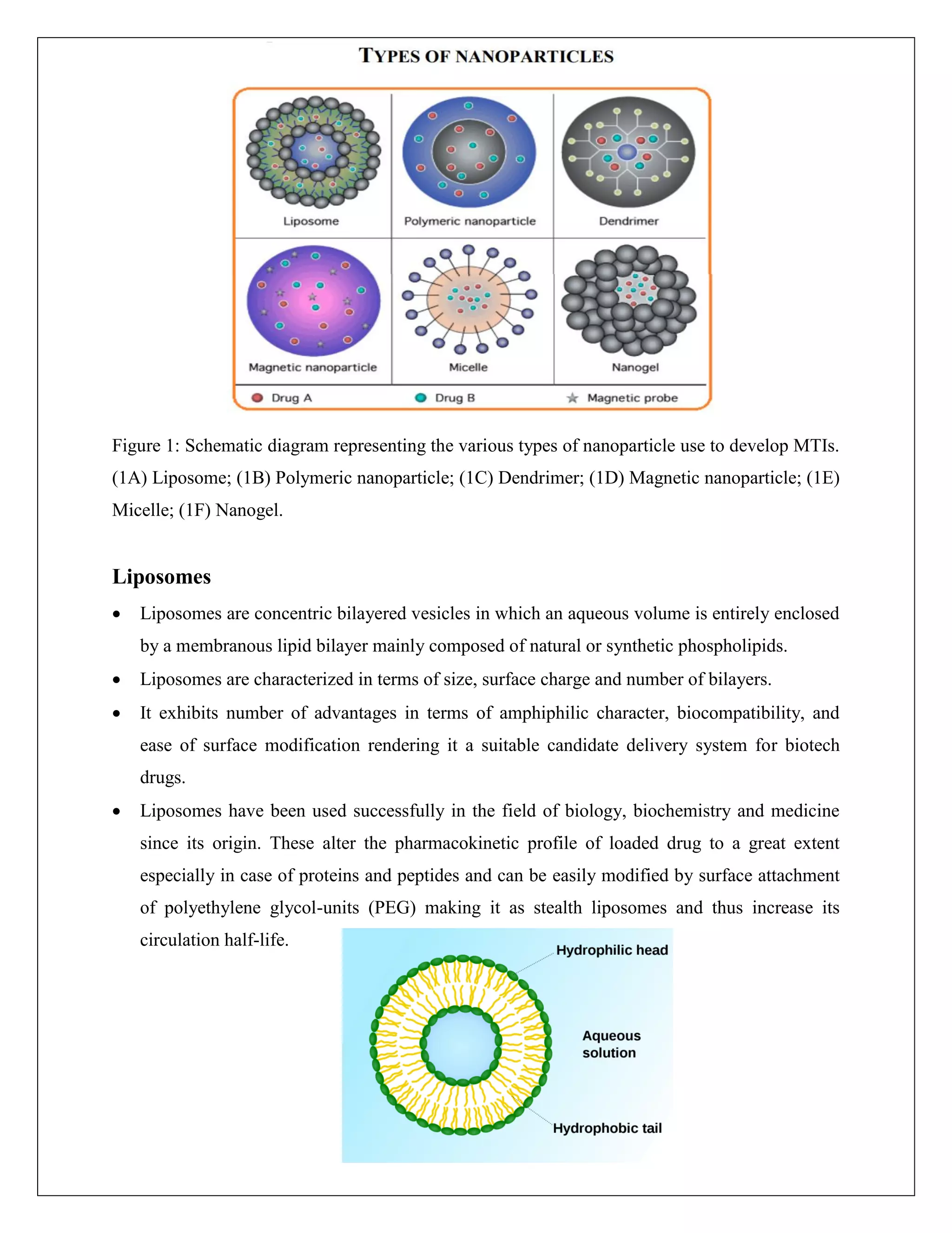 Nano particle Preparation and Evaluation | PDF