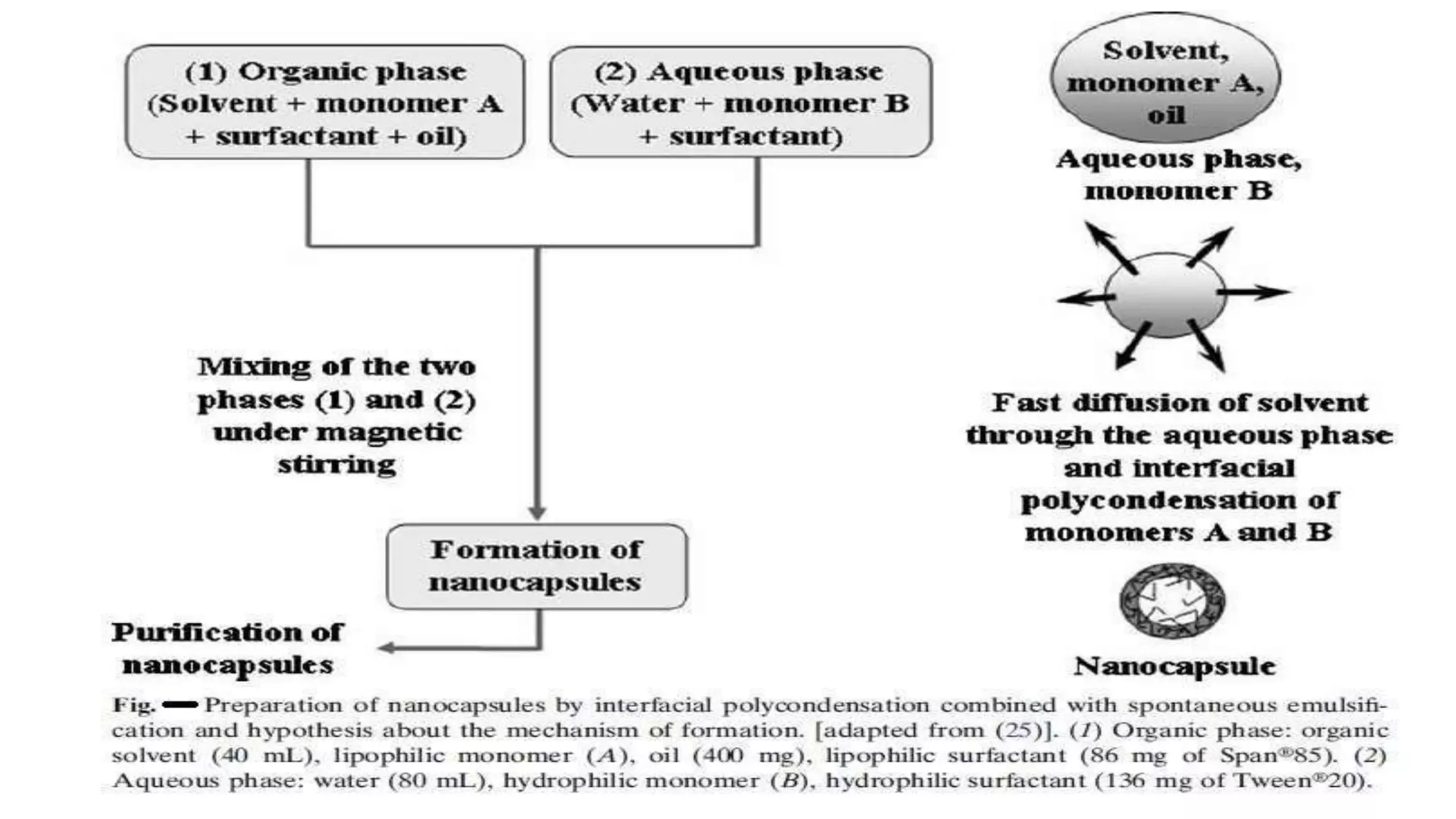 Nanoparticles | PPTX