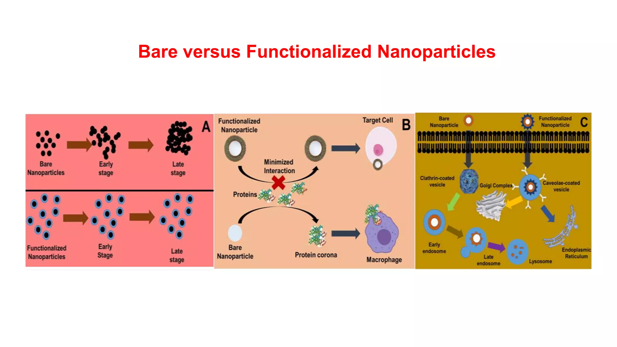 nanoparticles.pptx