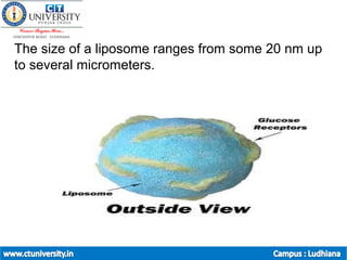 Nanoparticles and liposomes ppt | PPT