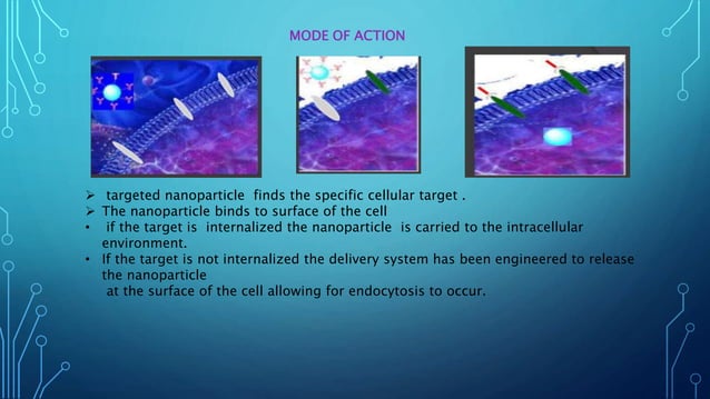 NANO PARTICLES FOR DRUG DELIVERY.pptx