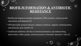 Nanoparticles_in_disruption_of_infectious_biofilms[1].pptx