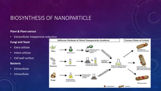 Synthesis of Nanoparticles | PPTX