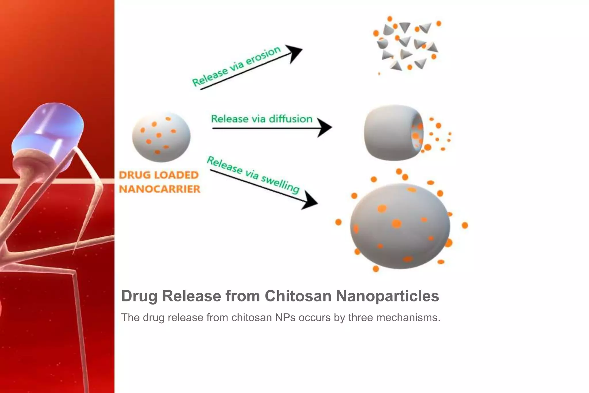 Introduction to Nanopaticles & Chitosan Nanoparticles | PPT