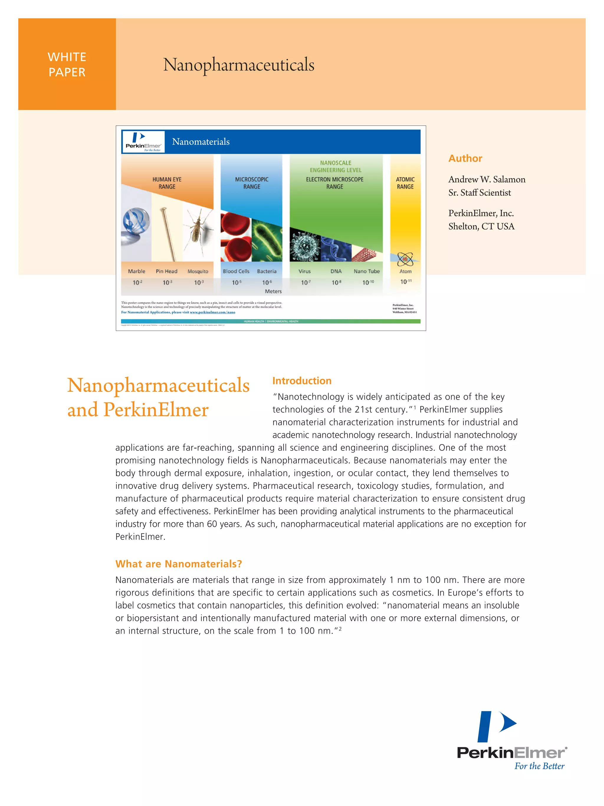 White Paper: Nanopharmaceuticals | PDF
