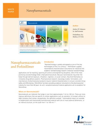 White Paper: Nanopharmaceuticals | PDF
