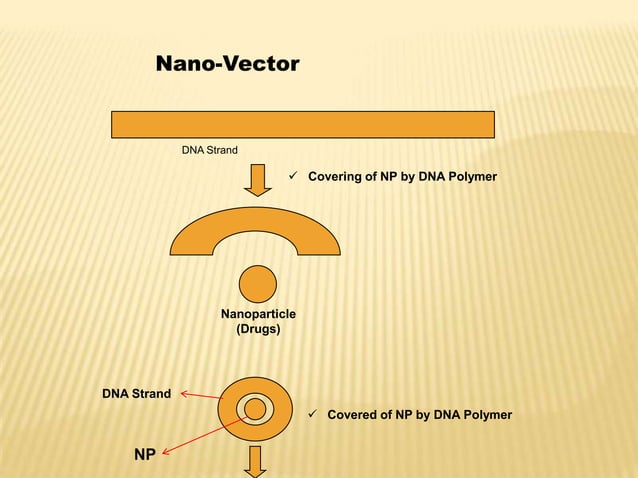 Nano Based Polymers and Applications in Drug Delivery | PPT