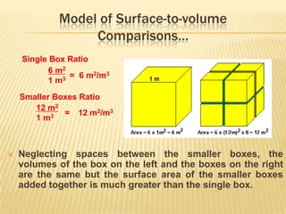 Nano Based Polymers and Applications in Drug Delivery | PPTX
