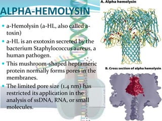 Nanopore sequencing | PPTX