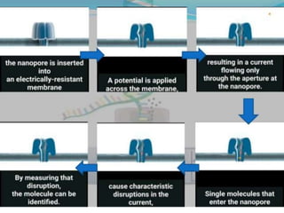 Nanopore sequencing . | PPTX