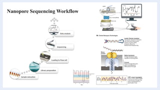 Nanopore-Sequencing - Advance sequencing method | PPT