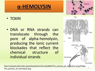 Nanopore for dna sequencing by shreya | PPTX | Chemistry | Science
