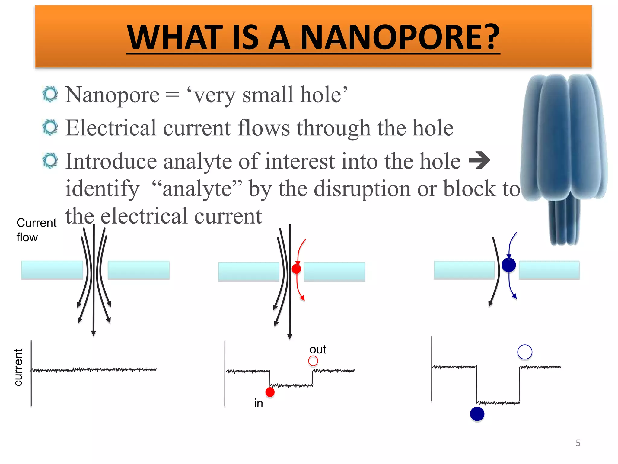 Nanopore sequencing (NGS) | PPTX
