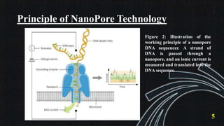 NanoPore Tequencing Technology | PPTX