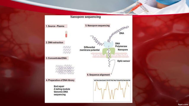 Nanopores Sequencing it's type, procedure.pptx