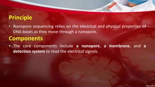 Nanopores Sequencing it's type, procedure.pptx