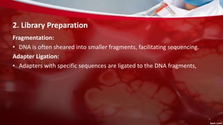 Nanopores Sequencing it's type, procedure.pptx