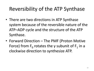 Nanorobotic Devices Of Nature | PPTX