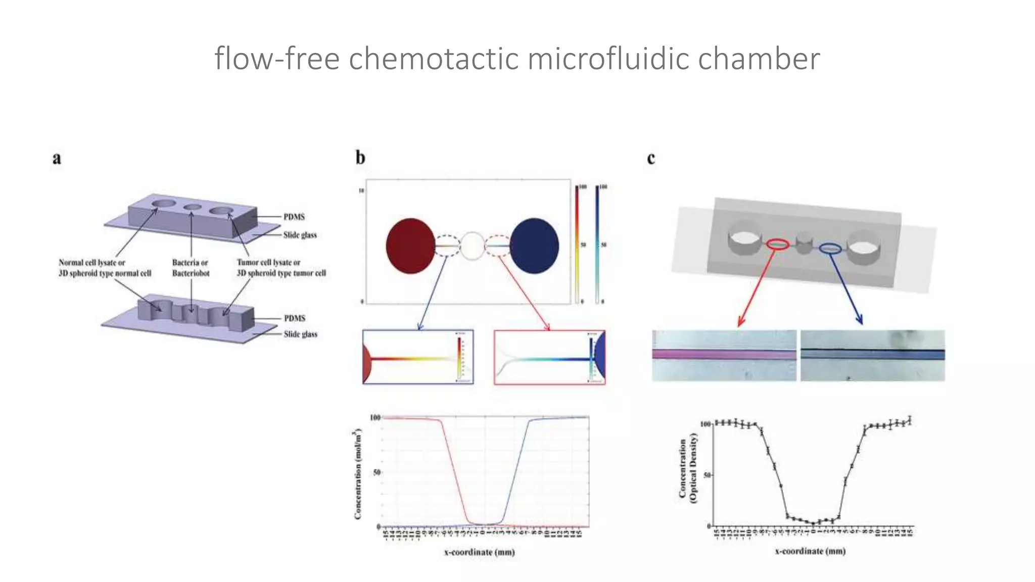 Nanorobots used in cancer treatment | PPTX | Cancer | Diseases and ...