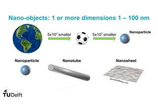 Safety of Nanomaterials | PDF