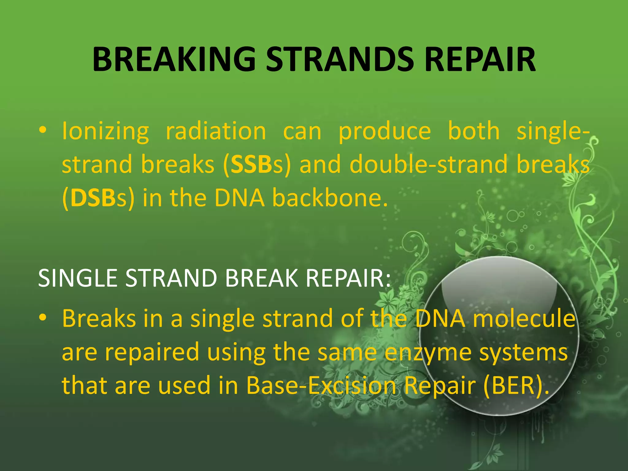 Radiation basics and radiation damage | PPTX