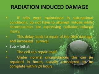 Radiation basics and radiation damage | PPTX