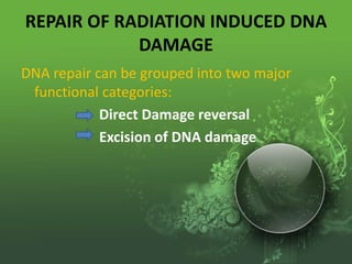 Radiation basics and radiation damage | PPTX