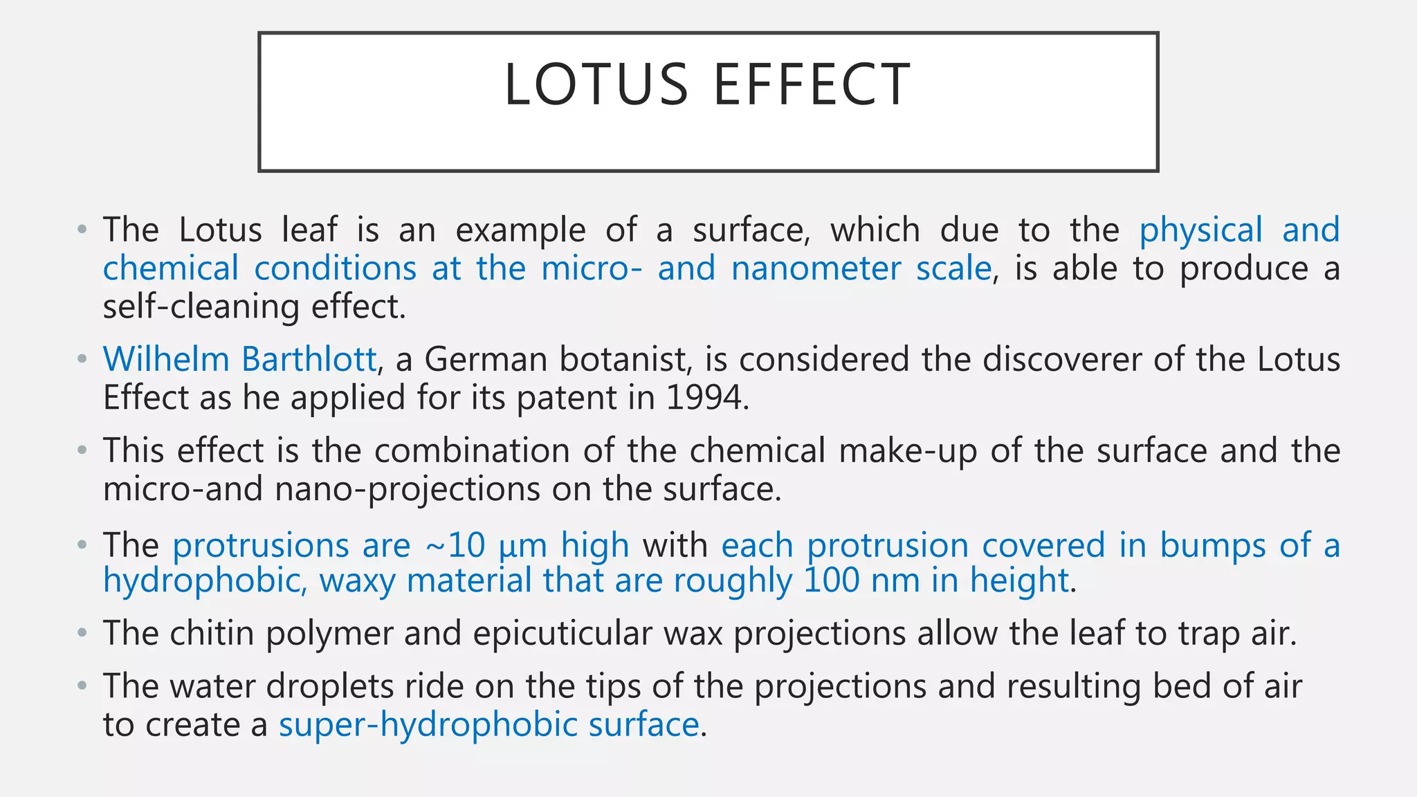 Biomimetics Nanoscience and technology ppt | PPTX