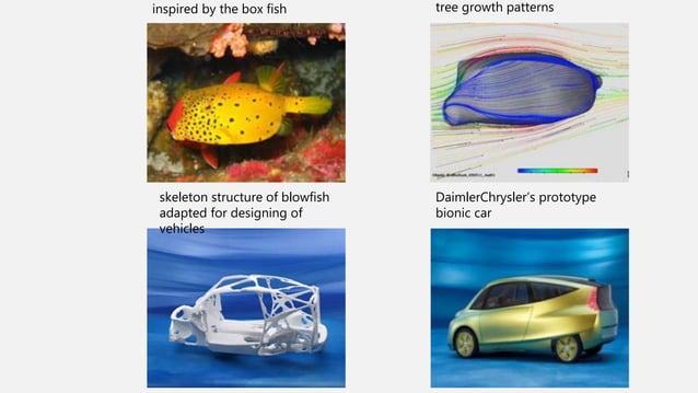 Biomimetics Nanoscience and technology ppt | PPT
