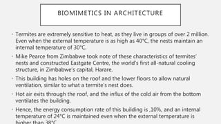 Biomimetics Nanoscience and technology ppt | PPTX