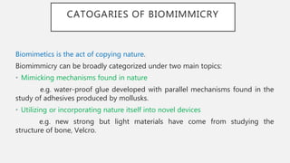 Biomimetics Nanoscience and technology ppt | PPTX