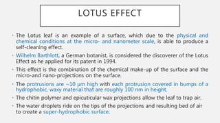 Biomimetics Nanoscience and technology ppt | PPTX