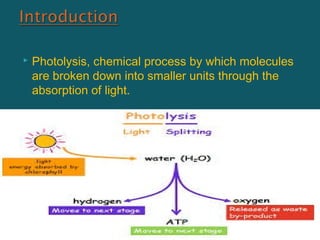 Nanosecond photolysis | PPT