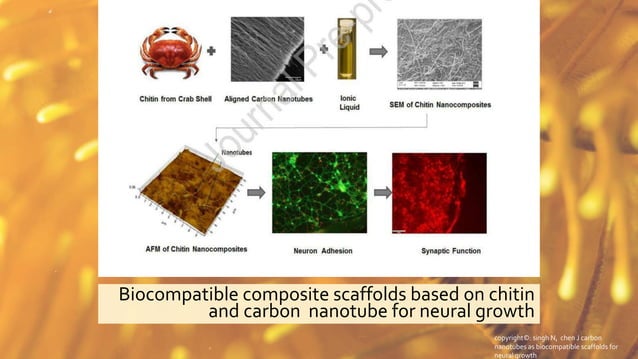 biocompatibility of biopolymers and their sterilisation techniques. | PPT