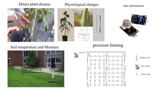 Nanosensor technology in agriculture ppt.pptx