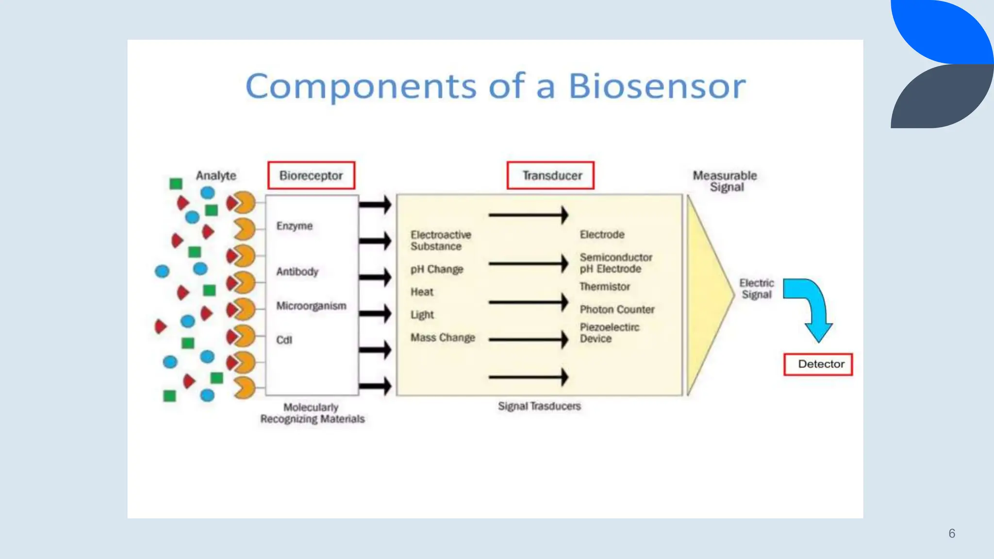 Nanosensors and its applications. pptx | PPTX