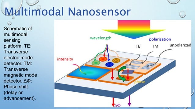 Nanosensors basics, design and applications | PPT