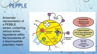 Nanosensors basics design and applications.pptx