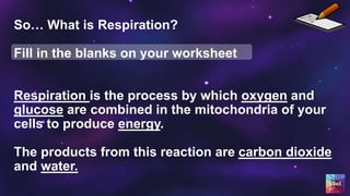 Nano Simbox Respiration | PPTX | Lung and Respiratory Health | Diseases ...