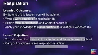 Nano Simbox Respiration | PPTX | Lung and Respiratory Health | Diseases ...