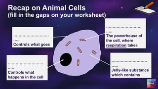 Nano Simbox Respiration | PPTX | Lung and Respiratory Health | Diseases ...
