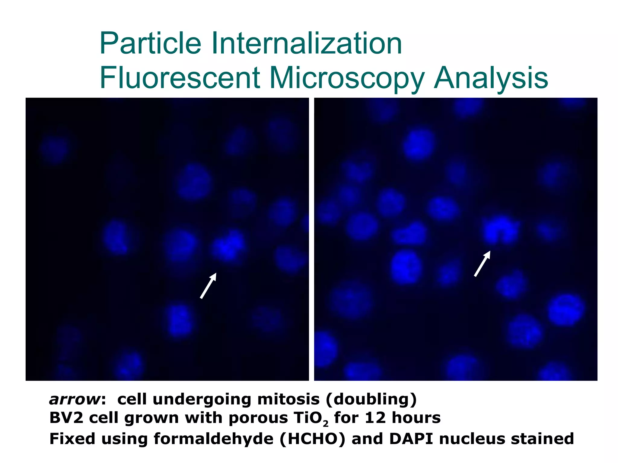 Nanostructured materials controlling biological processes | PPT